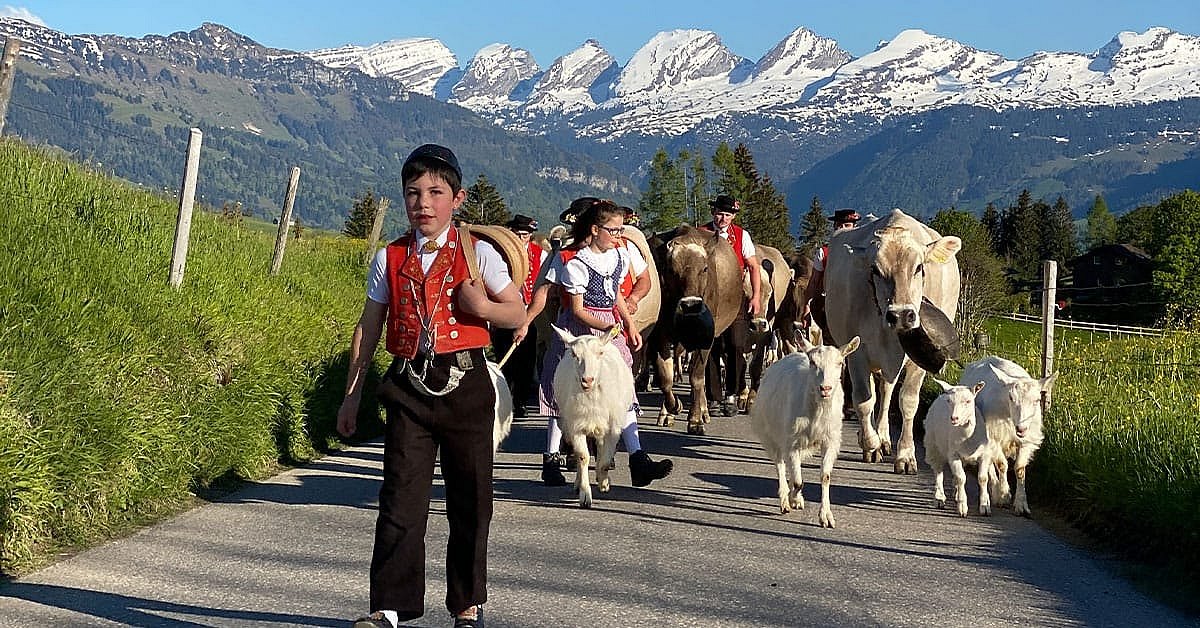 Unsere Landwirte – «Öberäfahre» mit der Familie Tischhauser